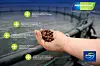 Biomar incorpora probióticos en dietas para etapa de agua de mar