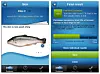 Determinan la frescura del salmón con app de iPhone