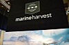 Marine Harvest lanza estrategia de marca y anuncia cambio de nombre