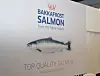 Bakkafrost afirma que imagen del salmón chileno en EE.UU. ha mejorado